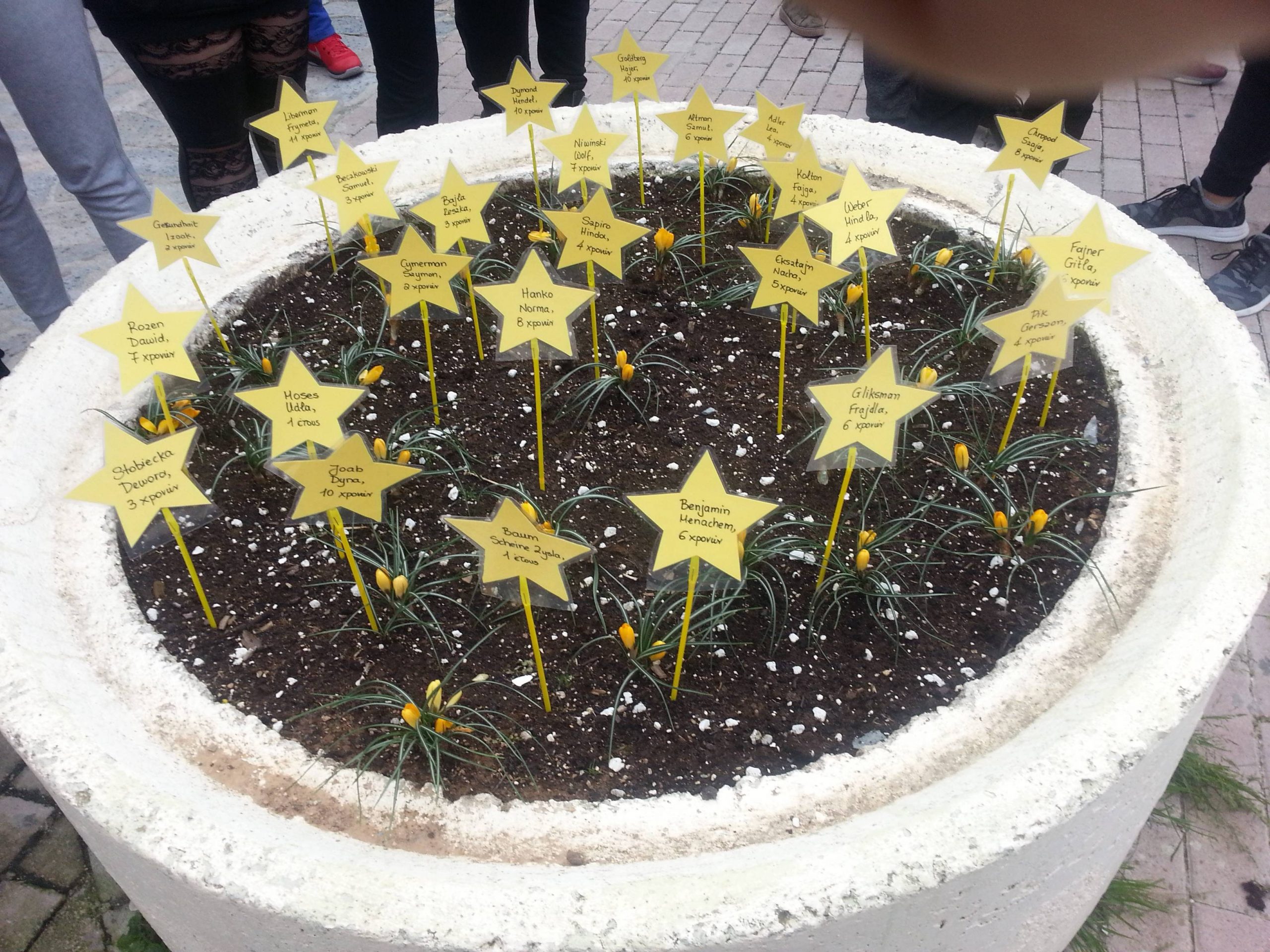 The Crocus Project - Η Εκπαίδευση στο Εβραϊκό Μουσείο Ελλάδος